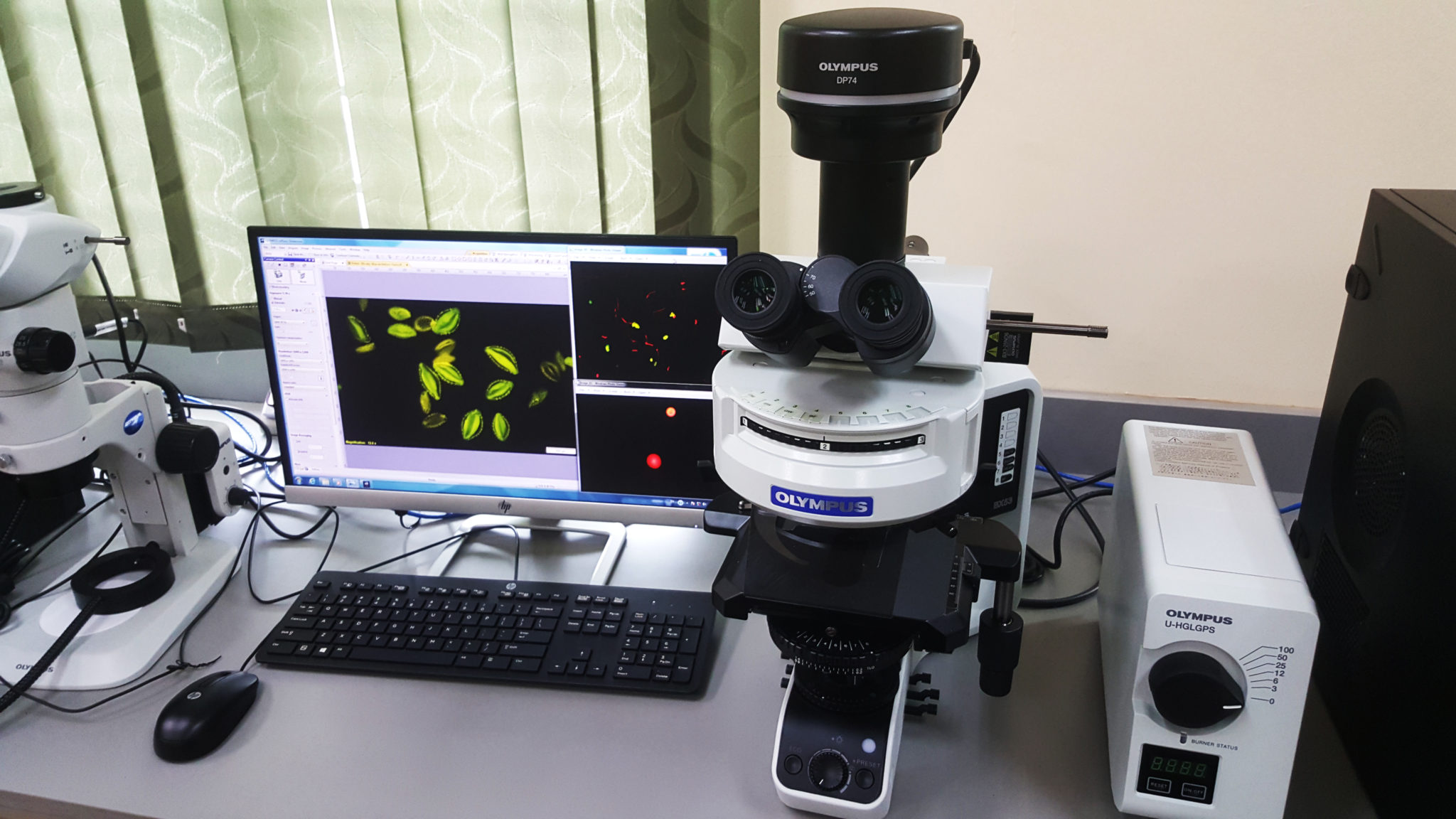 Fluorescence Microscope | MJIIT Microscopy Laboratory